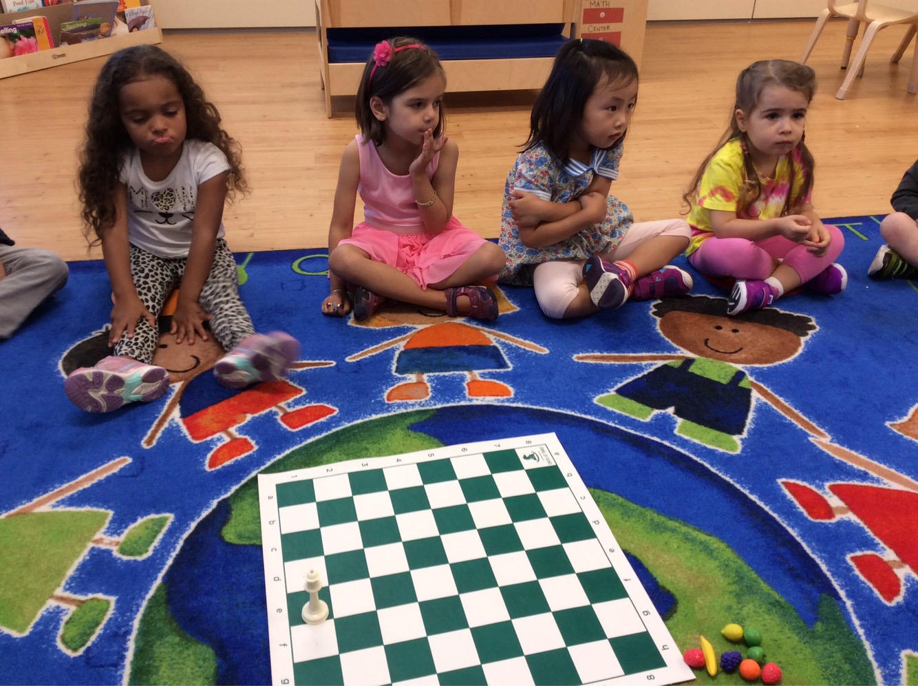 Chelsea & Florence Tsai – American Museum of Natural History And ...