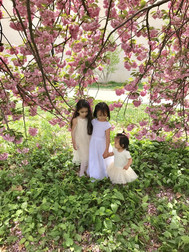 Chelsea & Florence Tsai – Cherry Blossom in Central Park – May 2018 ...