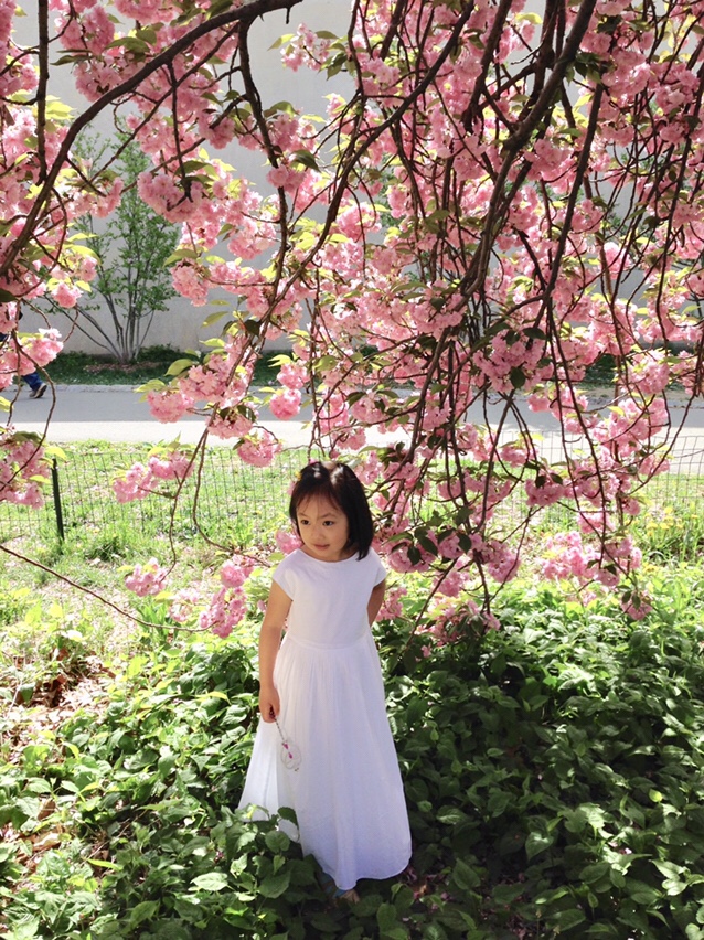 Chelsea & Florence Tsai – Cherry Blossom in Central Park – May 2018 ...